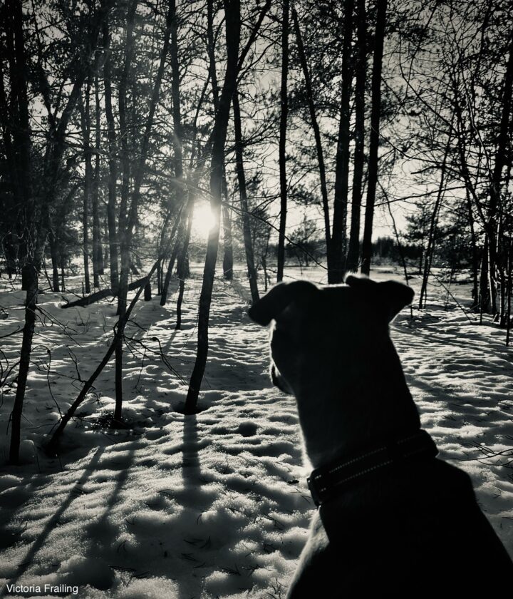 Here comes the sun | News, Sports, Jobs - The Mining Journal